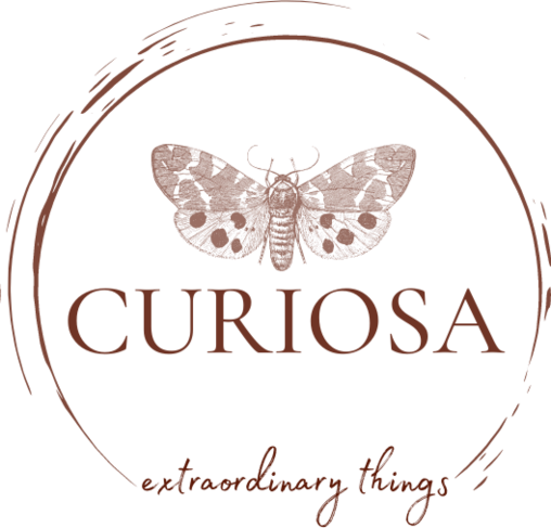 Curiosa Santa Fe-Fine Greeting Cards – CURIOSA